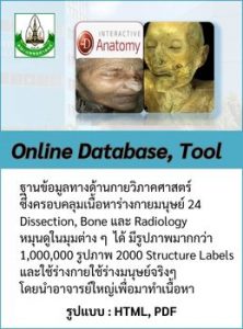 NULIBRARY - คณะพยาบาลศาสตร์ ม.ขอนแก่น